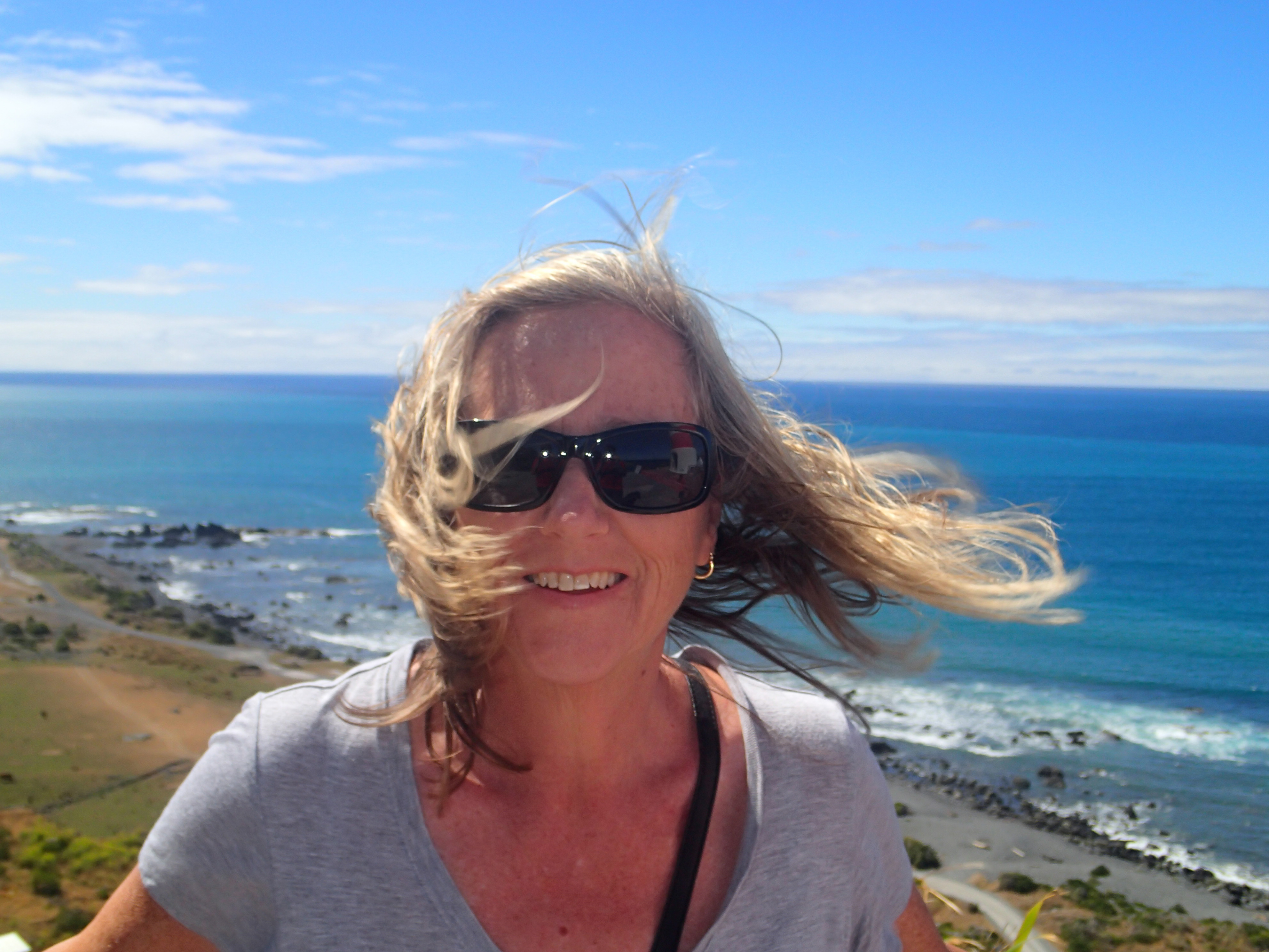 About – Pam Atkinson Art